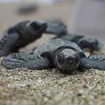 The Ultimate List of Bali's Must-See Locations | #Sisbehaving