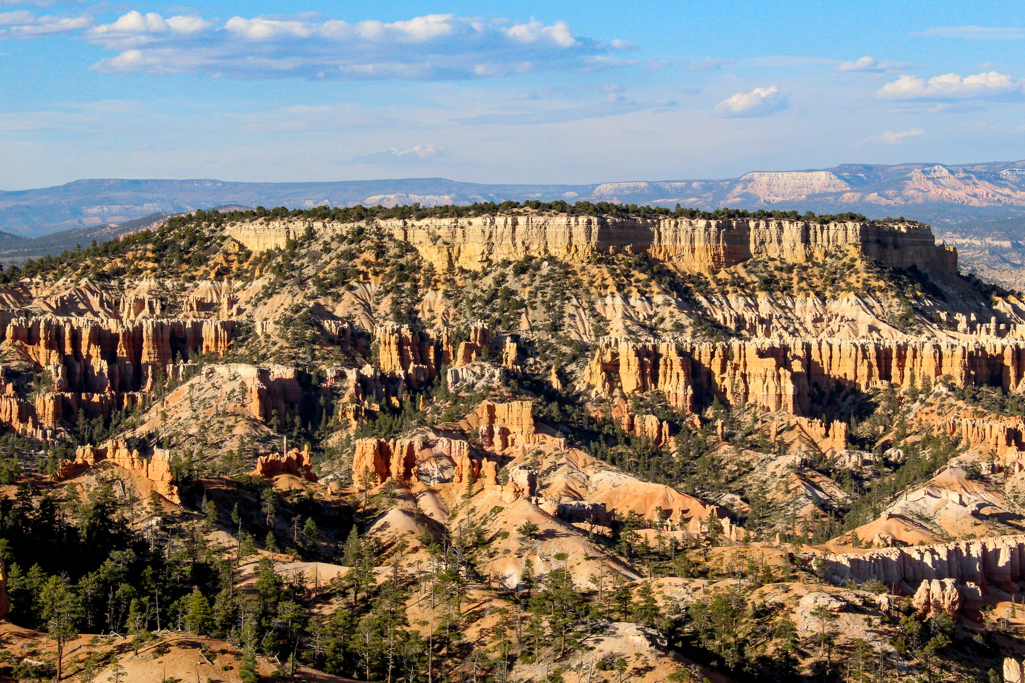Epic Utah and Northern Arizona Road Trip| Sisbehaving