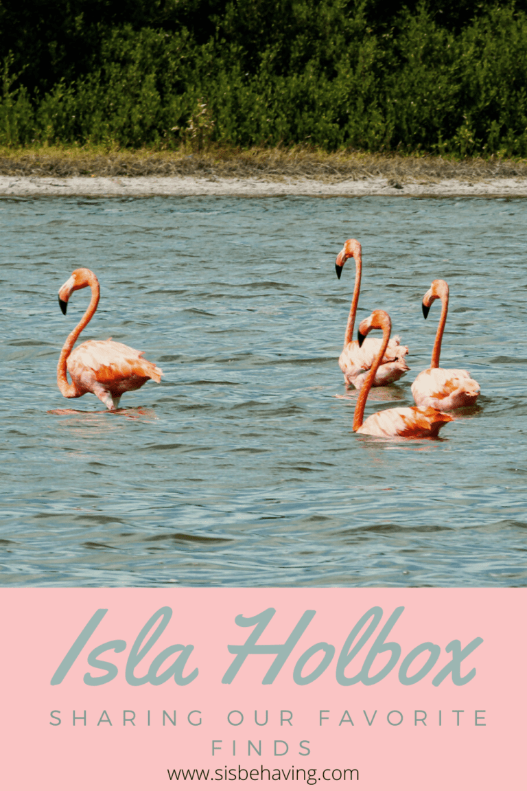 Isla Holbox - part 2 of our complete guide