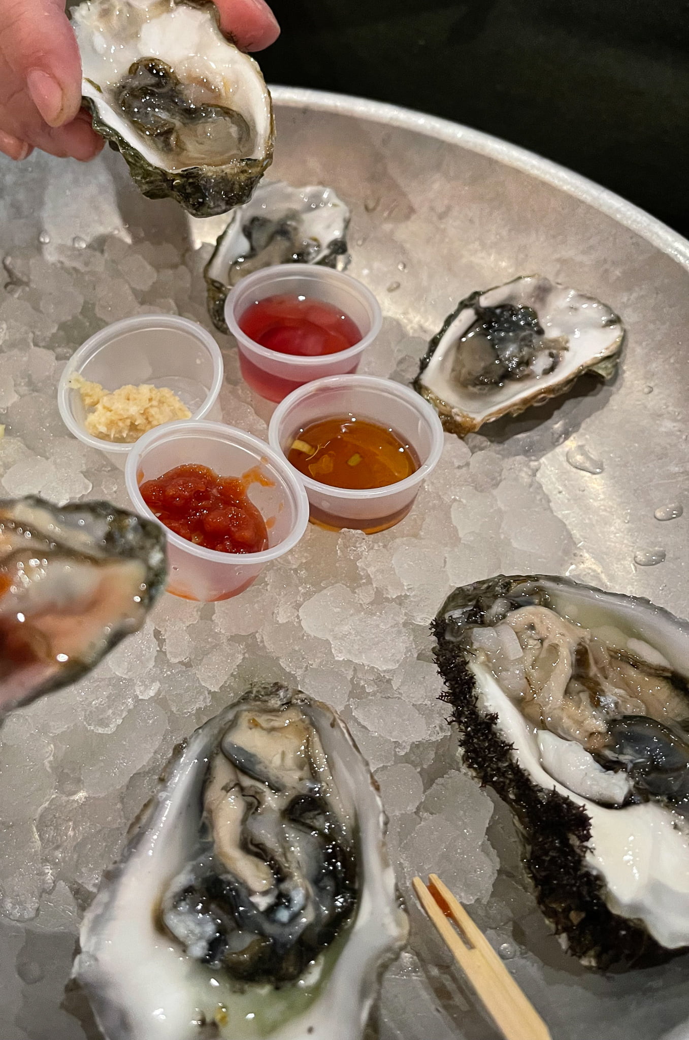 Olympic National Park – Our Overdue Trip to the Rainforest