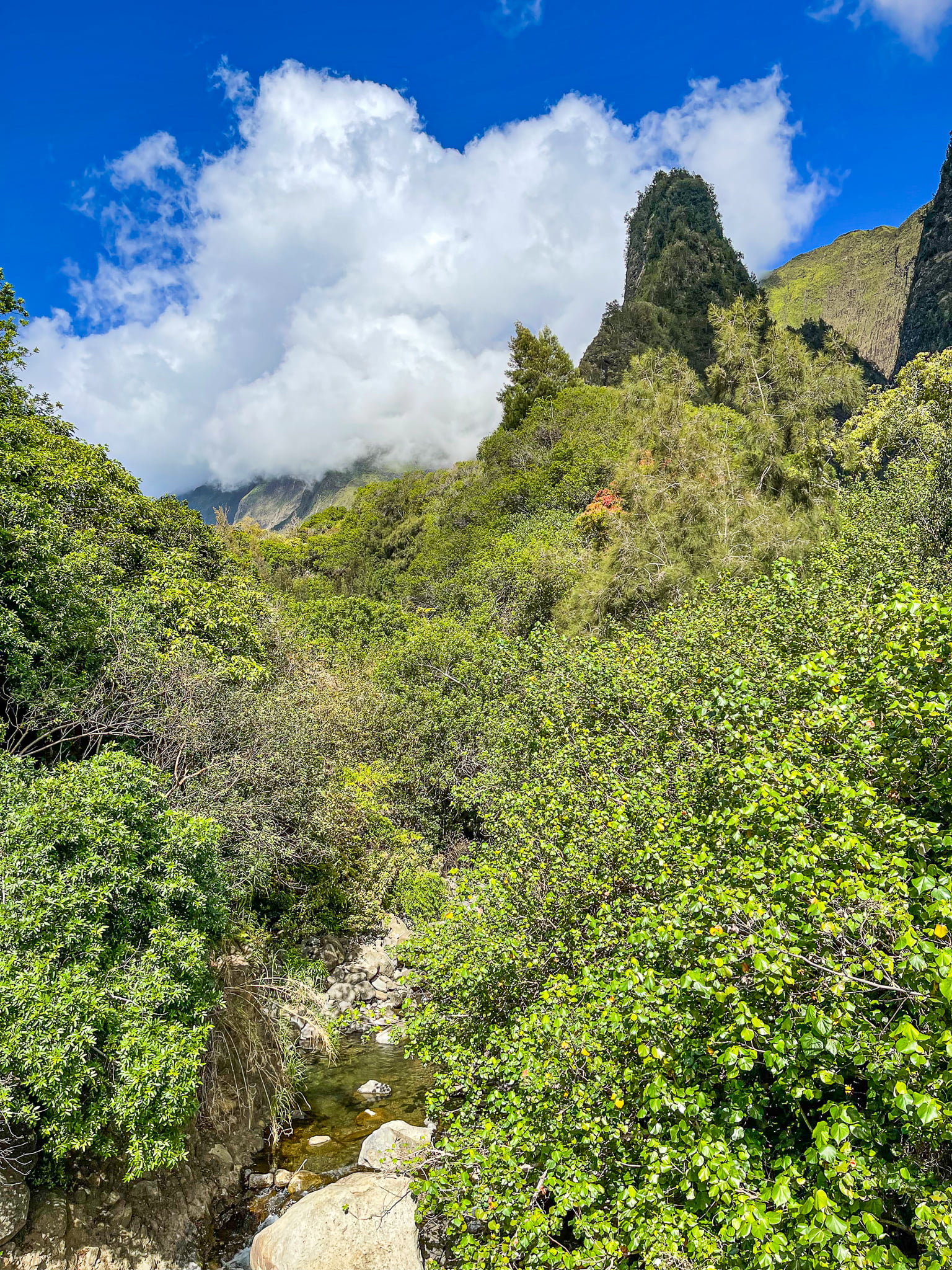 Iao Valley State Park – One of the Best Experiences On Maui