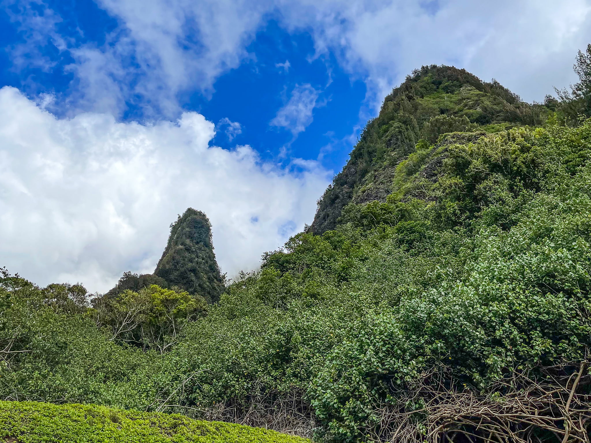 Iao Valley State Park – One of the Best Experiences On Maui